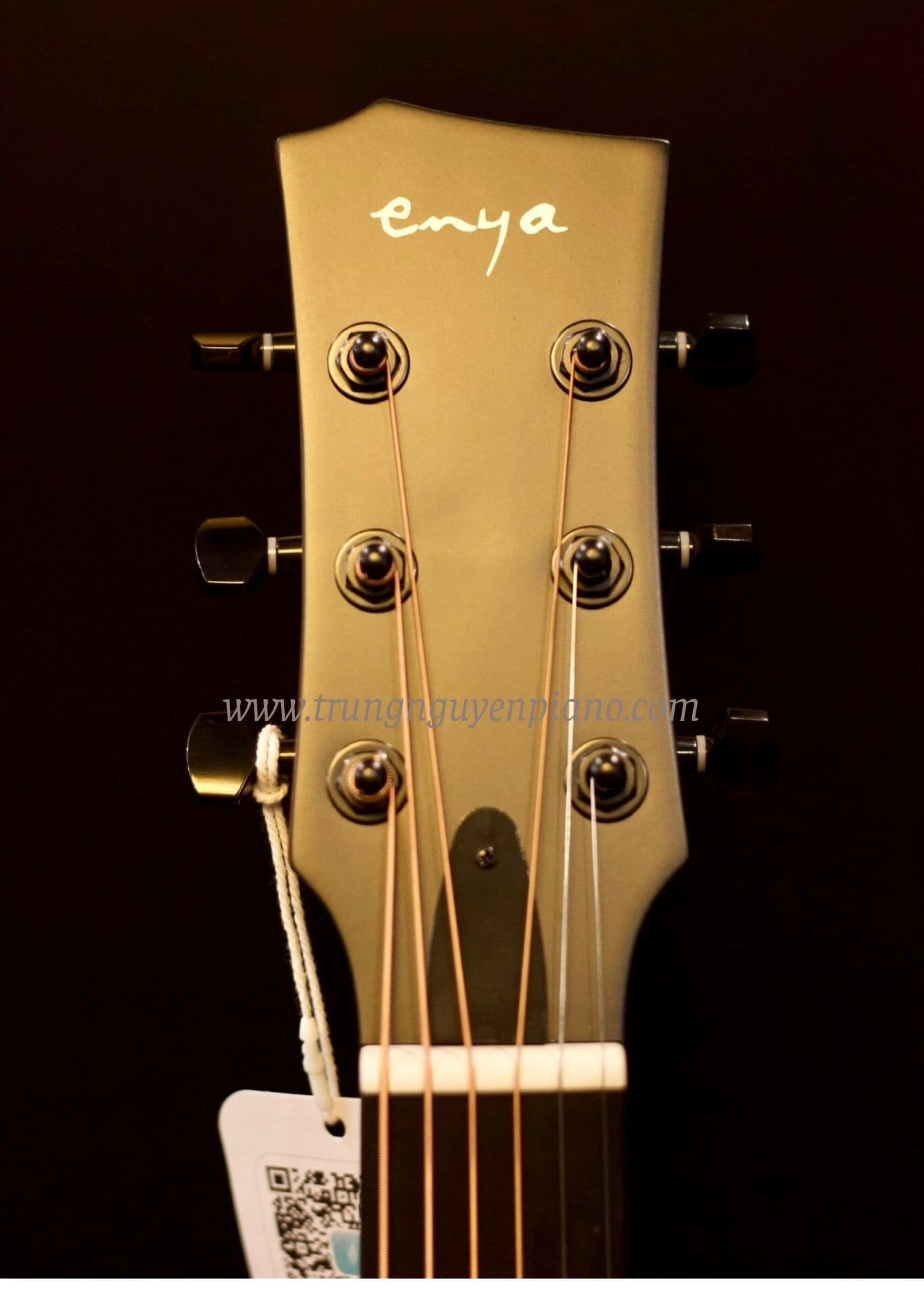 Guitar Enya EGA-X0