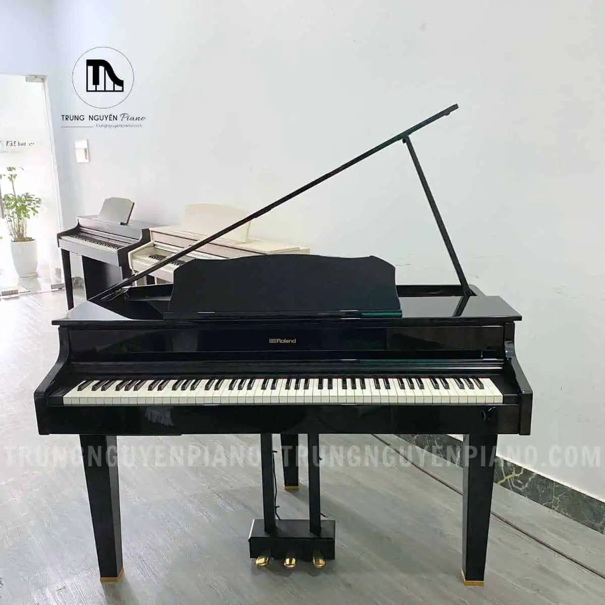 Piano Điện Roland GP607 PE - Trung Nguyên Piano