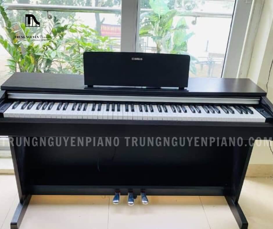 Đàn Piano Yamaha YDP142 - Trung Nguyên Piano