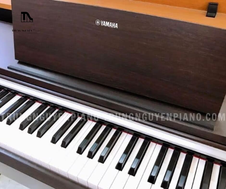 Đàn Piano Yamaha YDP142 - Trung Nguyên Piano