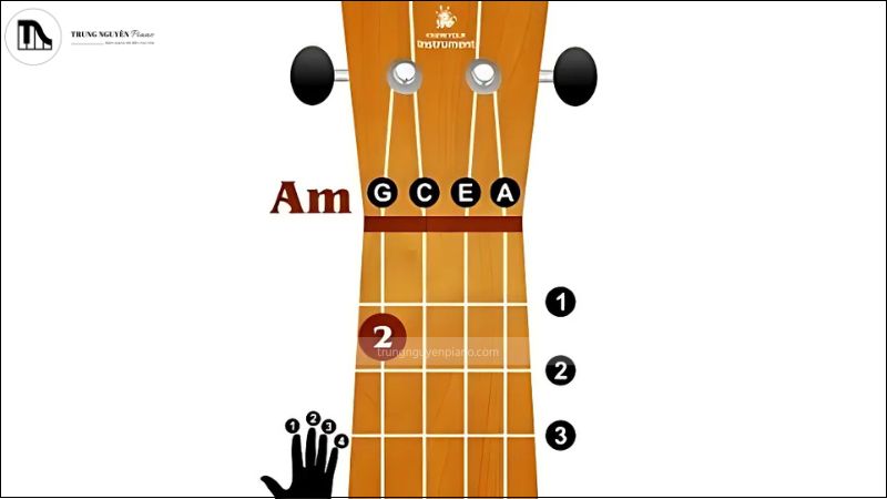 Hợp âm Ukulele cơ bản cho người mới bắt đầu