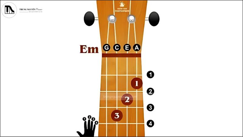 Hợp âm Ukulele cơ bản cho người mới bắt đầu