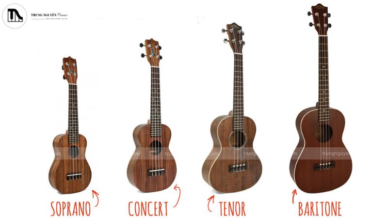 Hợp âm Ukulele cơ bản cho người mới bắt đầu